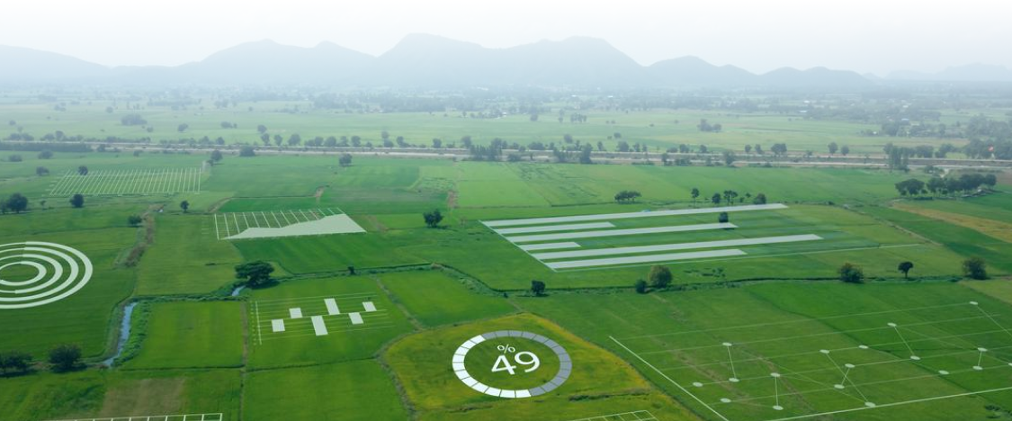 Login Template Title